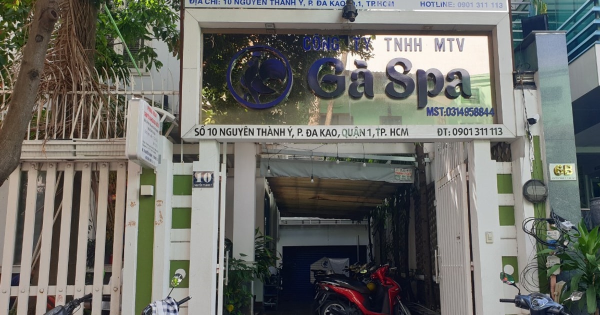 TP. HCM: Gà Spa liên tục bị xử phạt