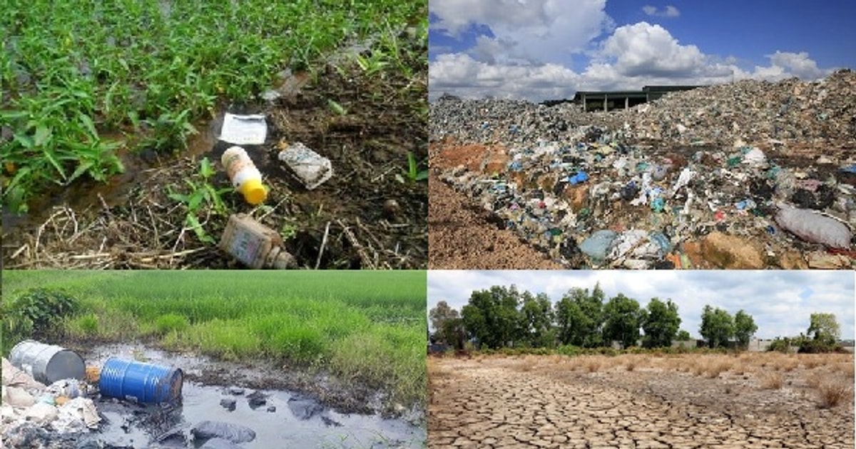 Ô nhiễm đất là gì? Phân loại khu vực ô nhiễm môi trường đất