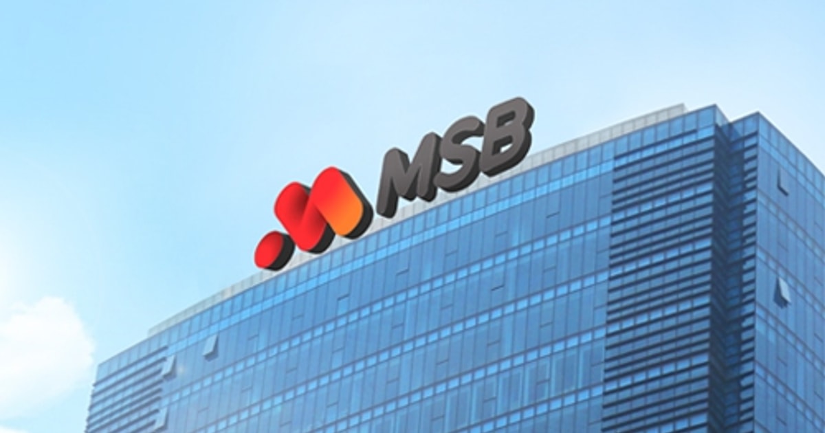 11 cổ đông nắm giữ 35% vốn MSB: Nhiều doanh nghiệp liên quan đến ROX Group