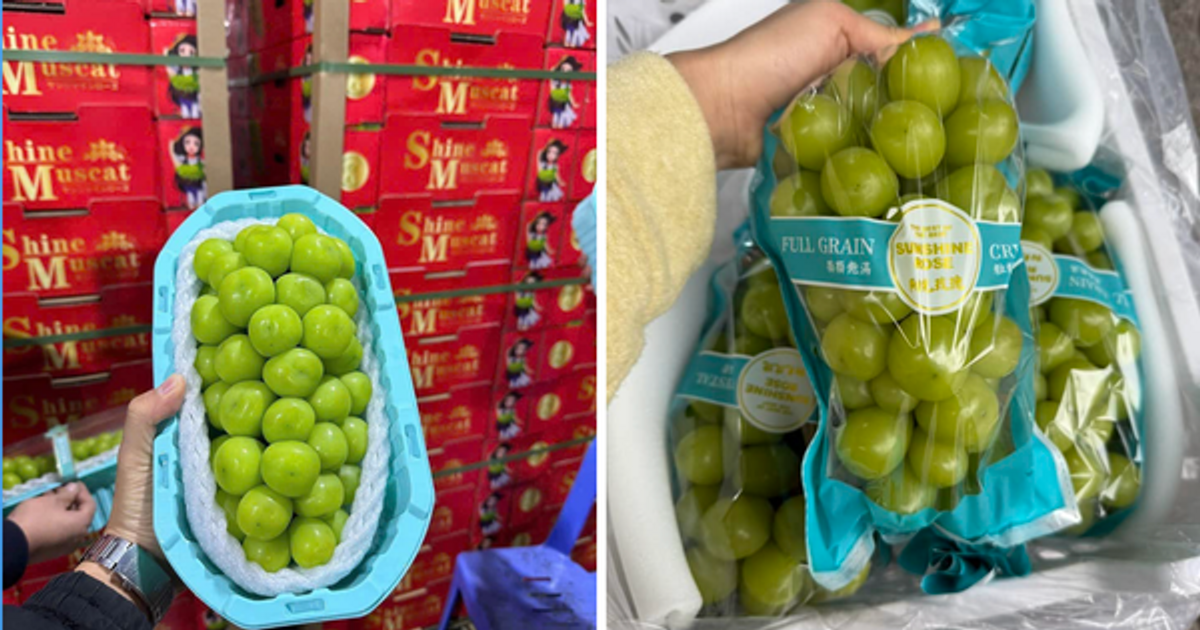 Tiểu thương tiết lộ lý do khiến nho sữa thượng hạng tươi rói bỗng có ...